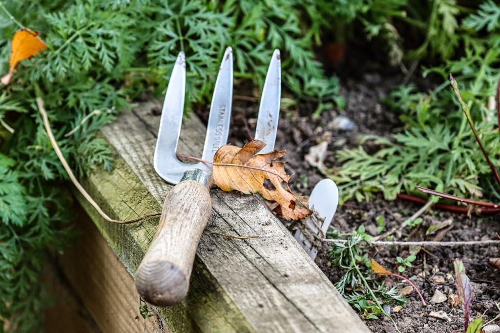 10 Essential Garden Tools Every Gardener Should Have - Decory Garden